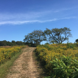 Shelter Island's Mashomack Preserve - Nature Done Wright