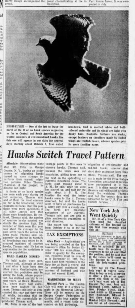 1965 Mount Peter Hawk Watch Story - Nature Done Wright