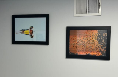 Jerry Barrack's Photos on View - Nature Done Wright