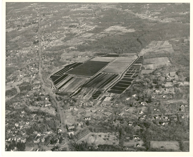 Celery Farm Aerials - Nine Decades - Nature Done Wright